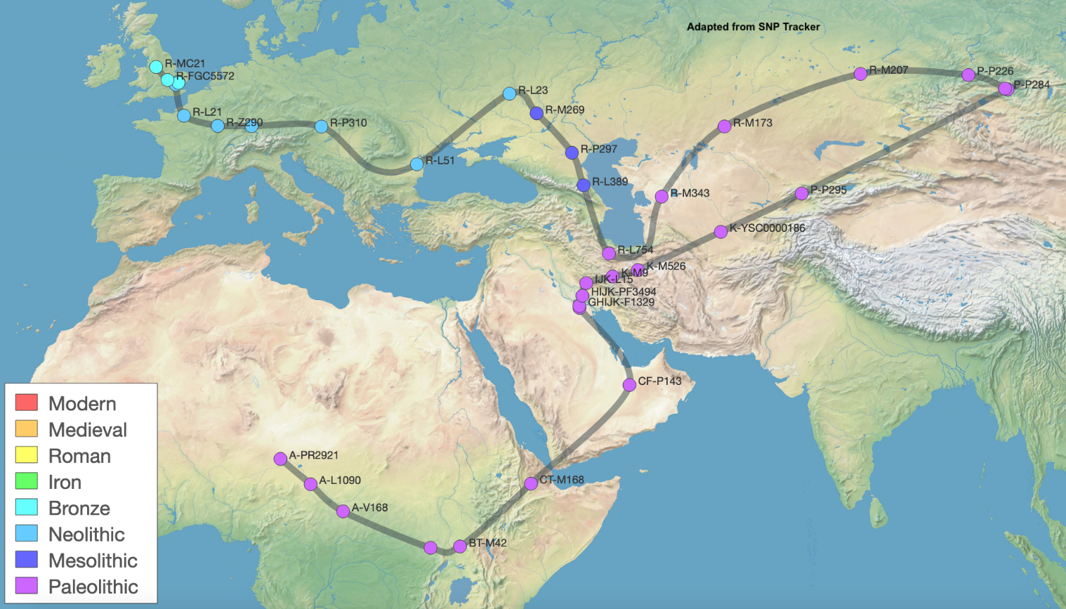 SHELDON DNA | Wheaton Wood