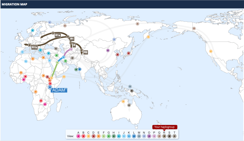 LESSON 4: Exploring the Y Part 2: SNPS & Haplogroups | Wheaton Wood