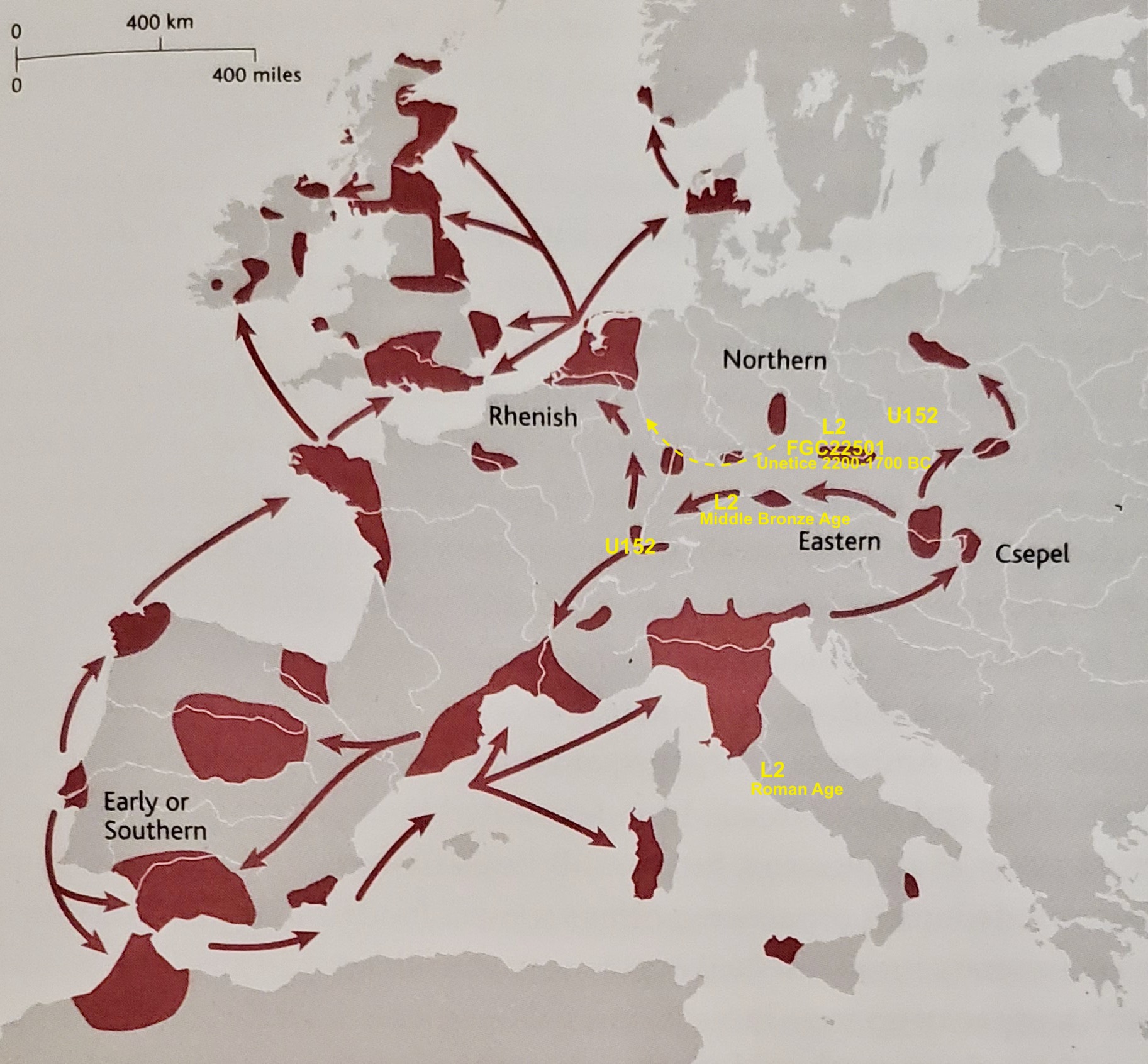 FGC22501 | Wheaton Wood