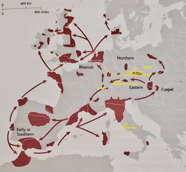 FGC22501 | Wheaton Wood