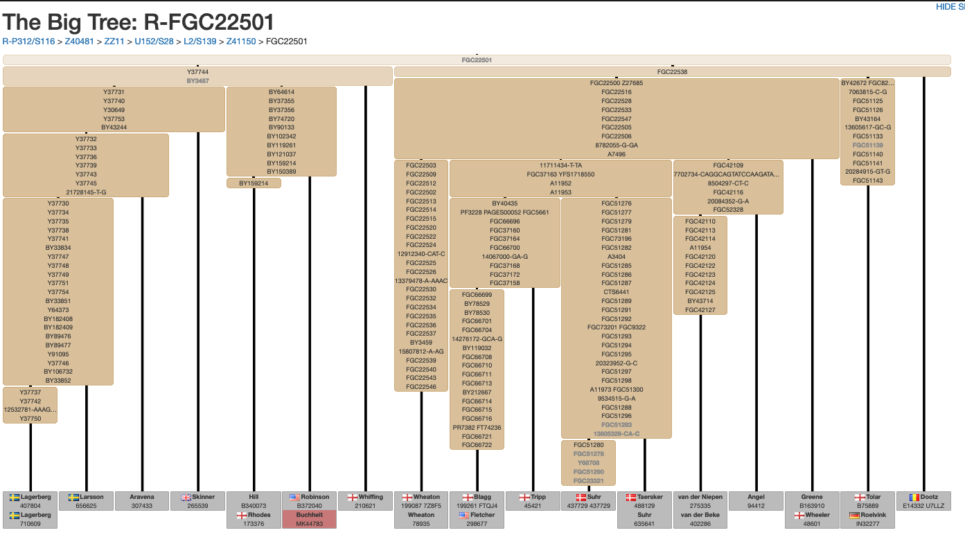 LESSON 14: The Future of Y Testing is Here | Wheaton Wood