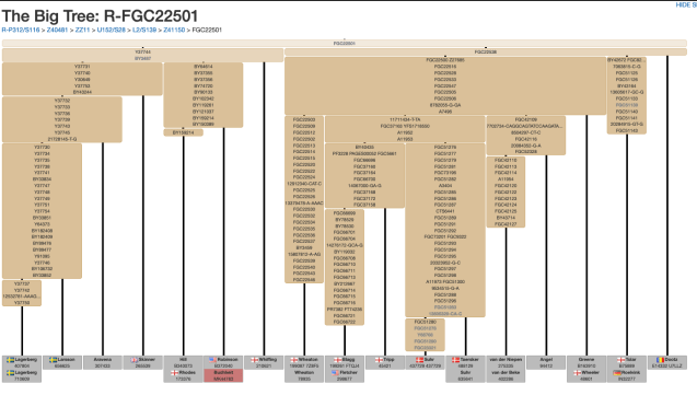 LESSON 14: The Future of Y Testing is Here | Wheaton Wood