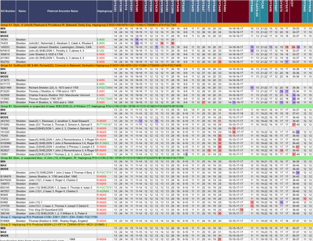 SHELDON DNA | Wheaton Wood